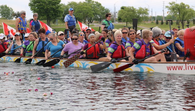 Welland Dragon Boat Festival (WDBF) 2018 – Welland International ...